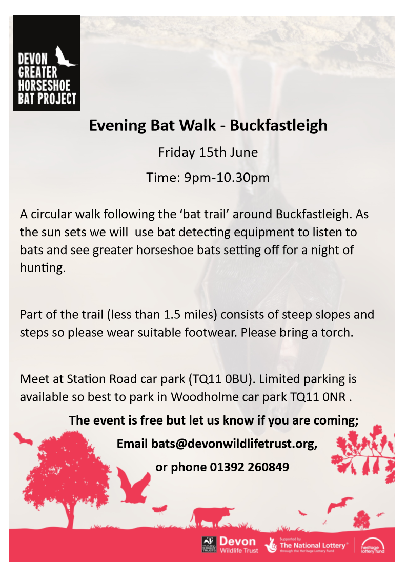 Events for December 2025 – Buckfastleigh Town Council